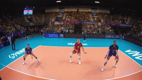 Volleyball World GIF - Find & Share on GIPHY