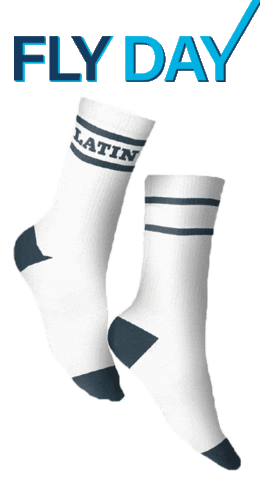 Fly Day 2022 GIFs on GIPHY - Be Animated