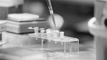 Why Did She Have To Die GIFs - Get the best GIF on GIPHY