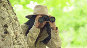 Binoculars GIFs - Find & Share on GIPHY