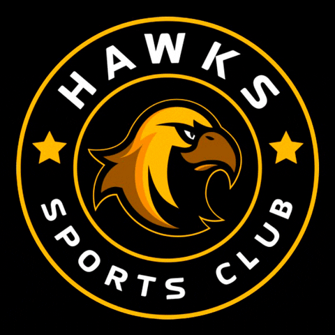 hawks.fi GIF - Find & Share on GIPHY