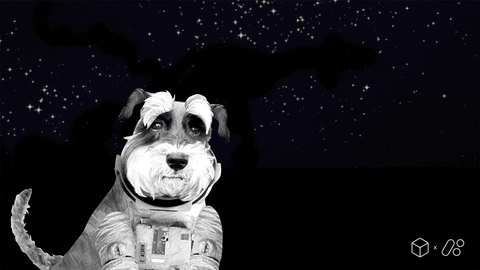 Dog Bone GIFs - Get the best GIF on GIPHY