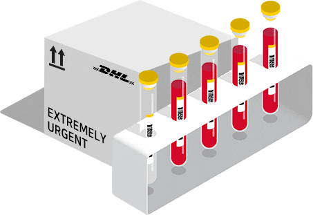 Test Sample Sticker by DHLKOREA for iOS & Android | GIPHY