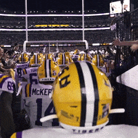 LSU vs Clemson GIFs! by Sports GIFs | GIPHY