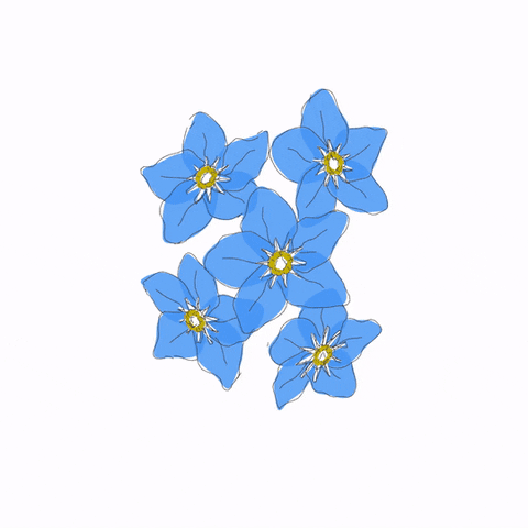 Forget-me-not GIFs - Get the best GIF on GIPHY