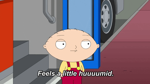 Say What Stewie Gif