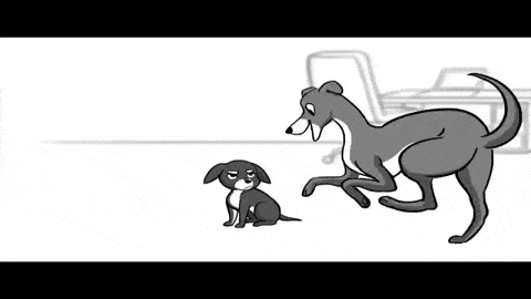 The Storytellers Box GIFs - Get the best GIF on GIPHY