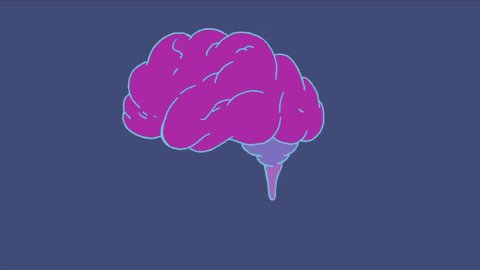Nervous Brain GIF by Massive Science - Find & Share on GIPHY