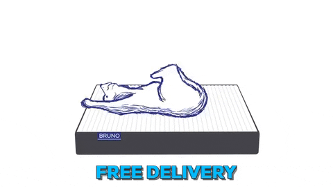 Mattress Delivery GIFs - Get the best GIF on GIPHY