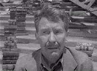 Fairs-fair GIFs - Get the best GIF on GIPHY