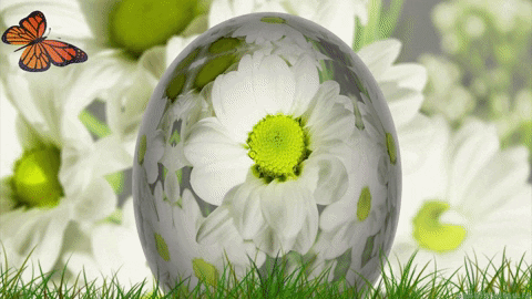 Sarbatori Pascale GIFs - Get the best GIF on GIPHY