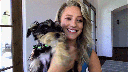 Dog Kisses GIFs - Find & Share on GIPHY