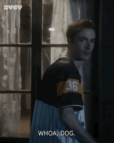 Dog-banner GIFs - Get the best GIF on GIPHY