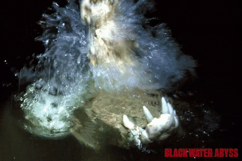 Will-of-the-abyss GIFs - Get the best GIF on GIPHY