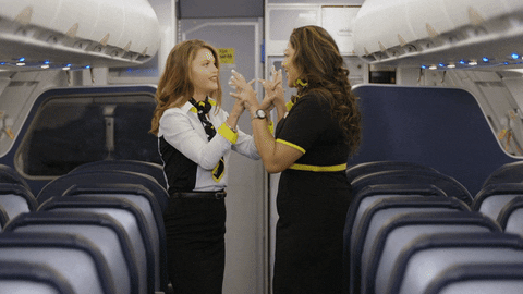 Spirit Airlines GIF - Find & Share on GIPHY