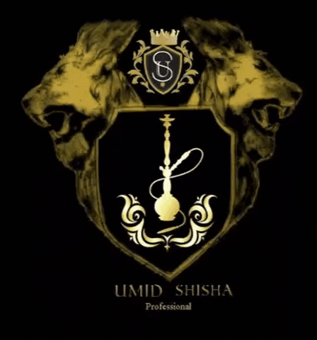 Shisha-lounge GIFs - Get the best GIF on GIPHY