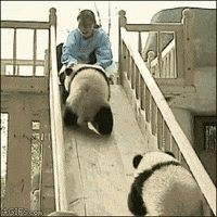Do A Barrel Roll Animated Gif