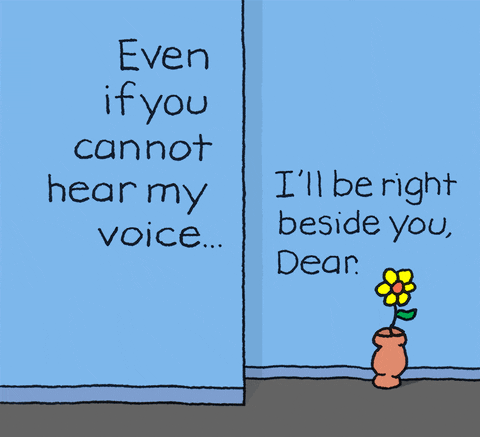 Besides GIFs - Get the best GIF on GIPHY