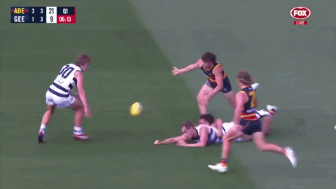 Round 1 Afl GIF by Adelaide Crows - Find & Share on GIPHY