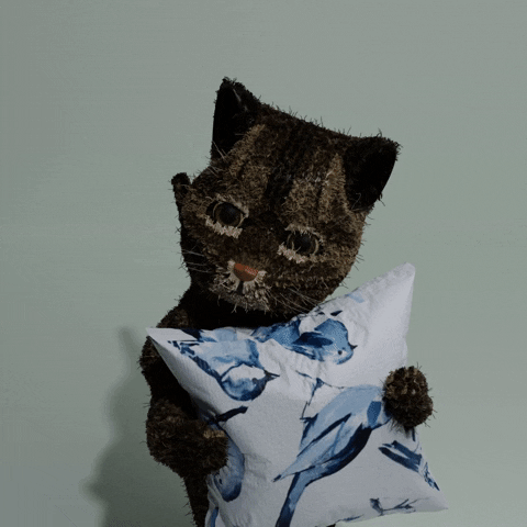 Tabby Wakes GIFs - Get the best GIF on GIPHY
