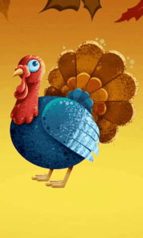 Turkey Gif