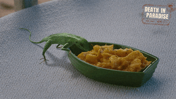 Death In Paradise GIFs on GIPHY - Be Animated