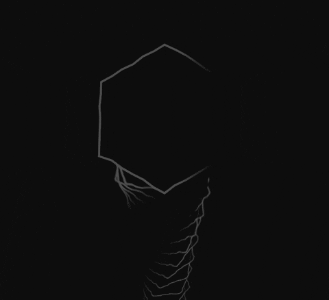 3D Wall GIFs - Get the best GIF on GIPHY