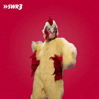 Wütender Bär Gif Wunderbar GIFs Find & Share On GIPHY