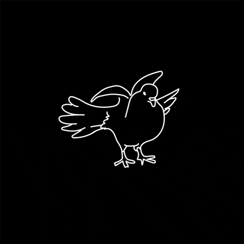 Linedrawings GIFs - Get the best GIF on GIPHY