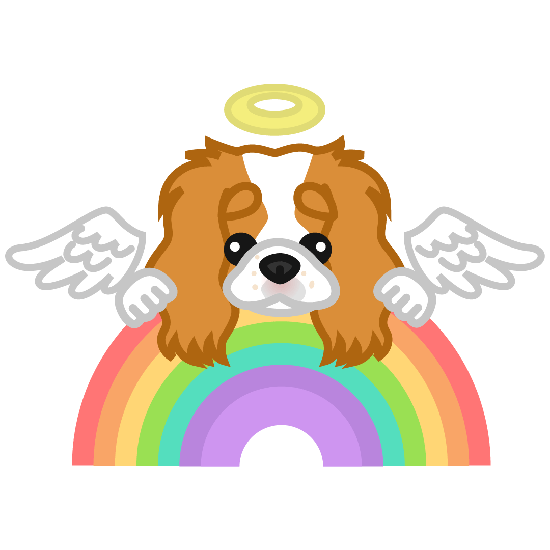 Rainbow Angel Sticker for iOS & Android | GIPHY