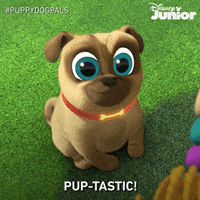 Puppy Dog Pals GIFs on GIPHY - Be Animated