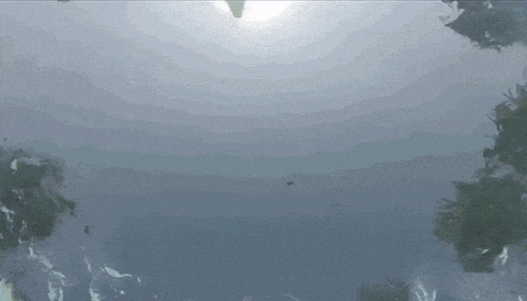 Cute-swimming GIFs - Get the best GIF on GIPHY