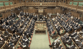 Gender Equality GIFs - Find & Share on GIPHY