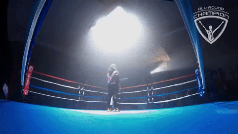 All-Round Champion GIF - Find & Share on GIPHY