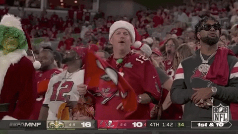Tampa Bay Buccaneers Football GIF by NFL - Find & Share on GIPHY