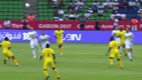 Riyad Mahrez Africa GIF by CAF - Find & Share on GIPHY