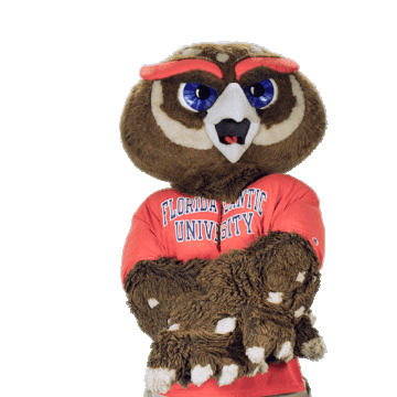 Fau Owlsley Sticker by Florida Atlantic University for iOS & Android ...