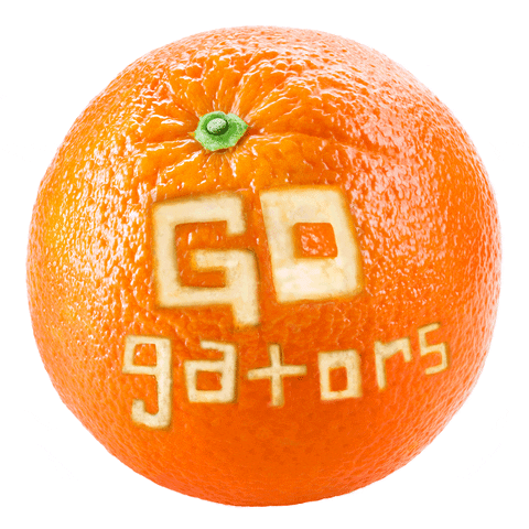 Florida Oranges GIFs - Get the best GIF on GIPHY