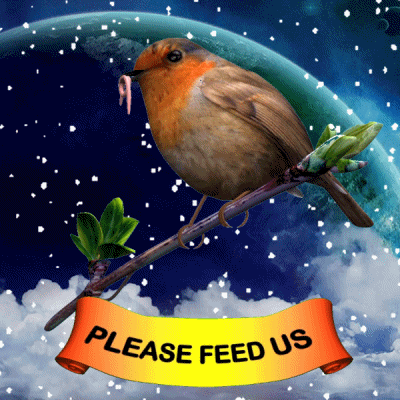 Hungry Birds GIFs - Find & Share on GIPHY