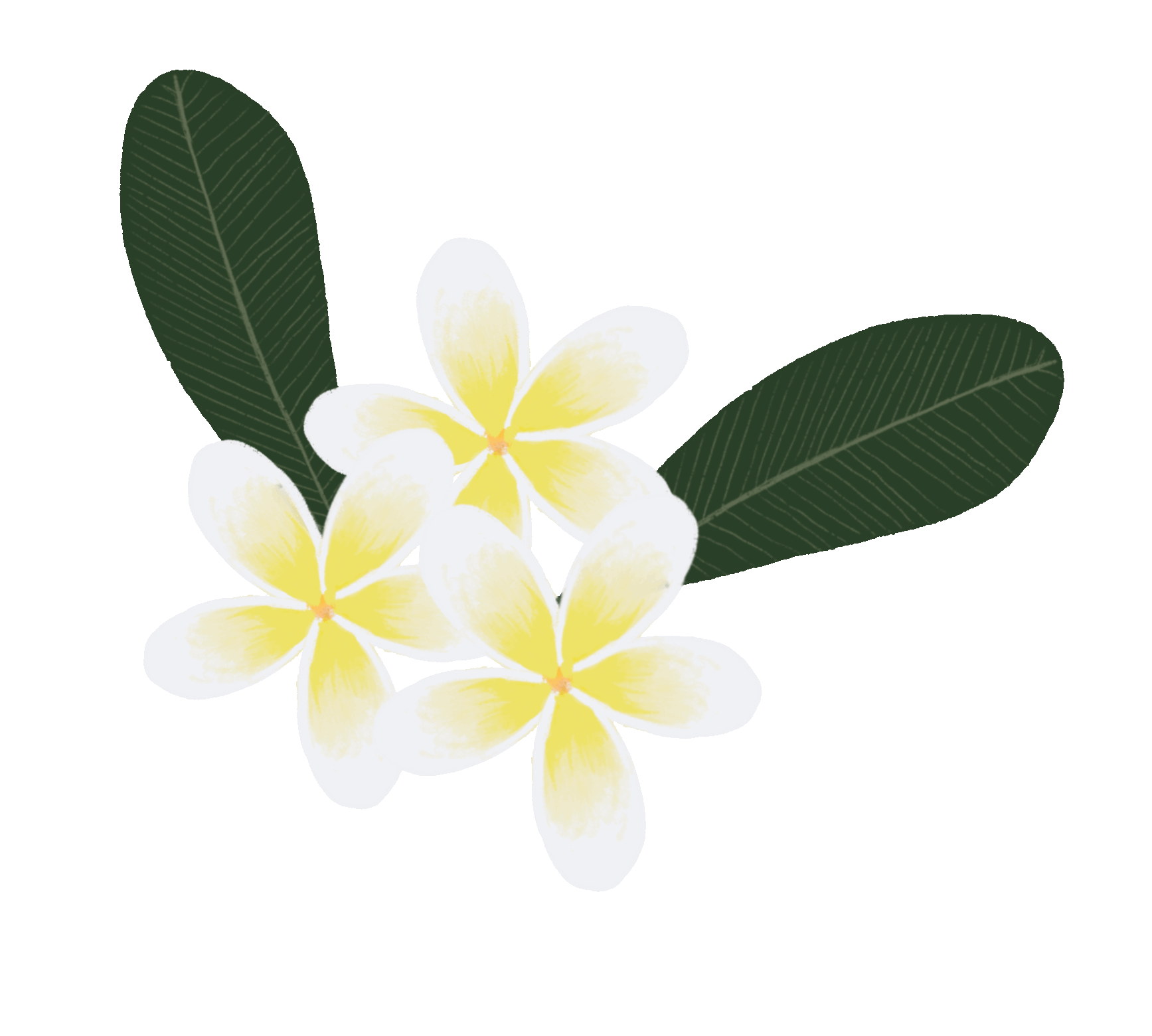 Flowers Sticker for iOS & Android | GIPHY