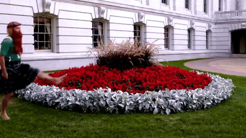 The-wiggles-scottish GIFs - Get the best GIF on GIPHY