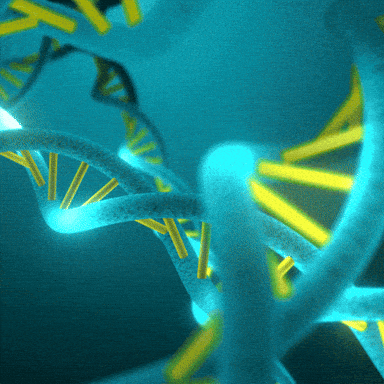 Video Dna GIFs - Get the best GIF on GIPHY