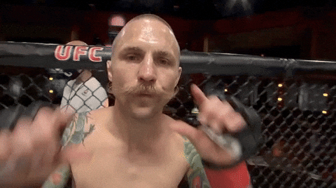 250 GIFs - Get the best GIF on GIPHY