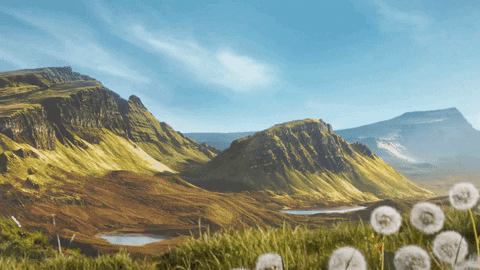 Gilbert GIF by The Famous Grouse - Find & Share on GIPHY