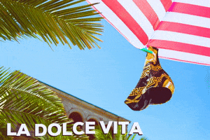 Kissinger Sommer GIFs on GIPHY - Be Animated