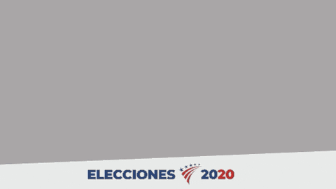 Elecciones 2020 GIFs - Get the best GIF on GIPHY