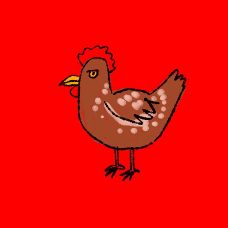 Illustration Chicken GIF - Find & Share on GIPHY