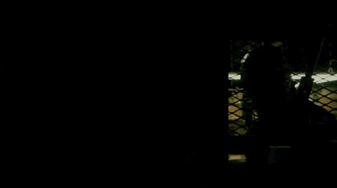 #HuntHerKillHerMovie GIFs on GIPHY - Be Animated