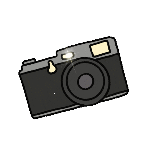 Camera Flash Animated Gif