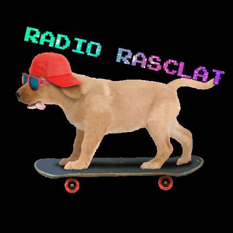 Radio Rasclat GIFs - Find & Share on GIPHY
